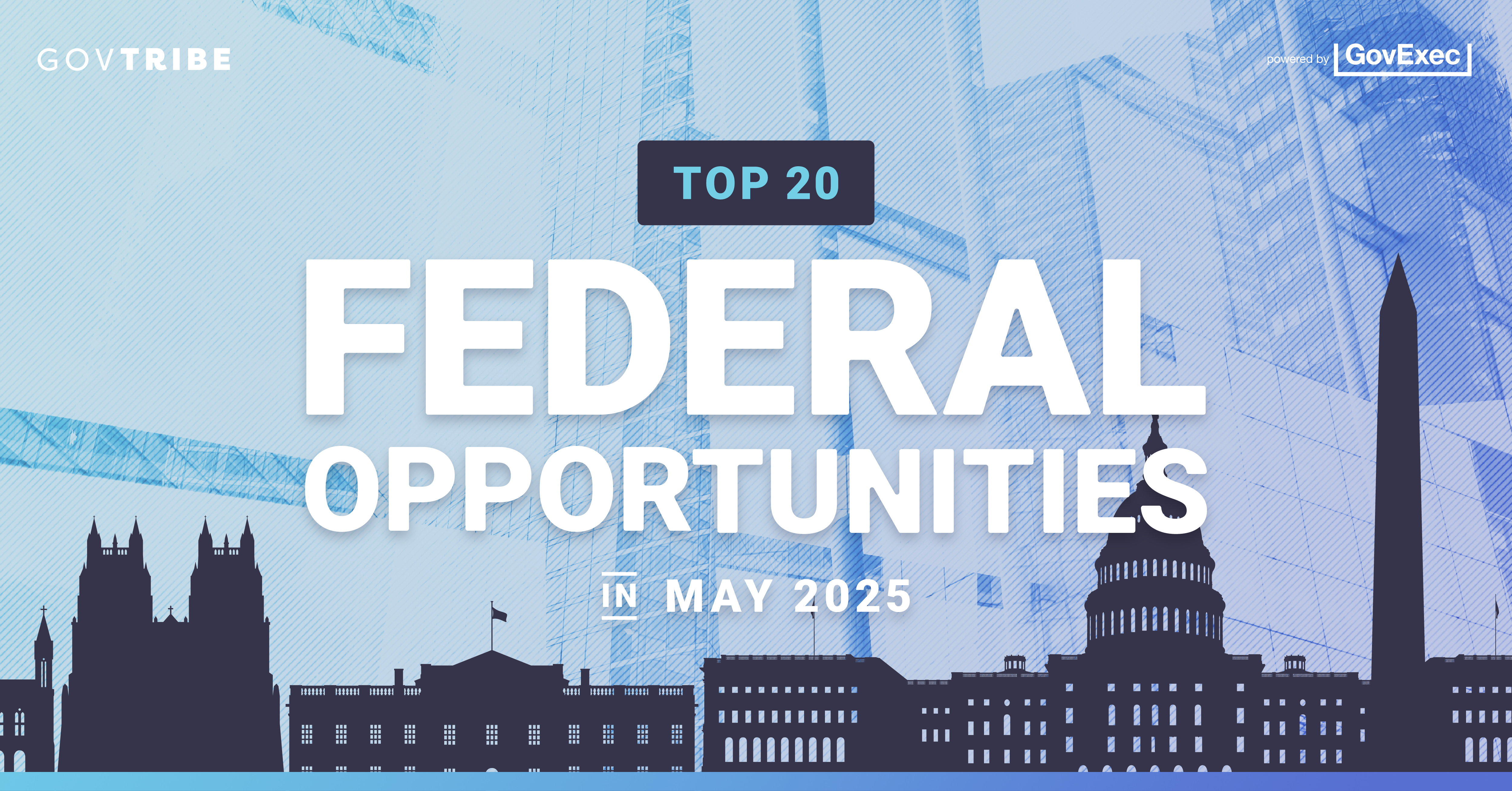 Top 20 Federal Contracting Opportunities in May 2025