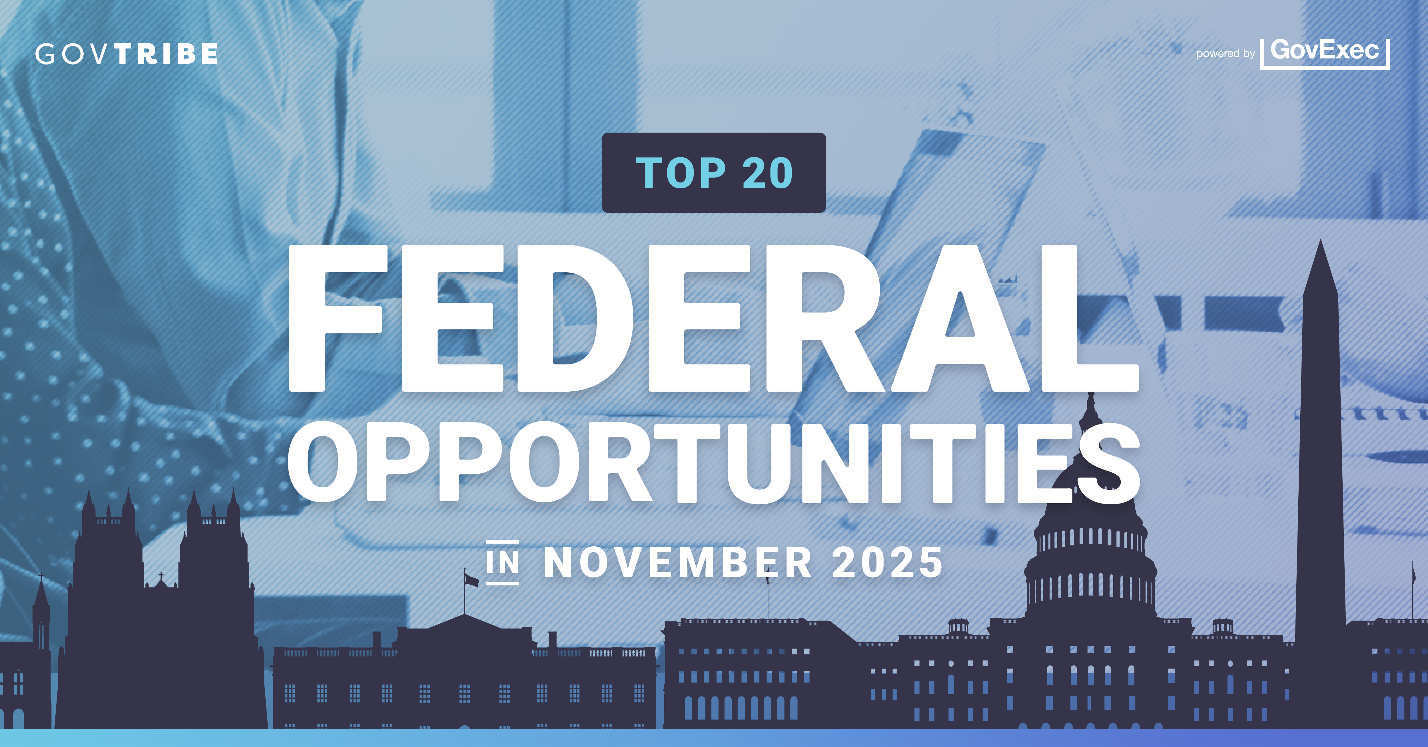 Top 20 Federal Contracting Opportunities in November 2025